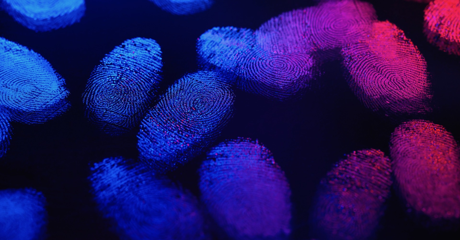 Fingerprinting And The Surveillance Economy | Avast